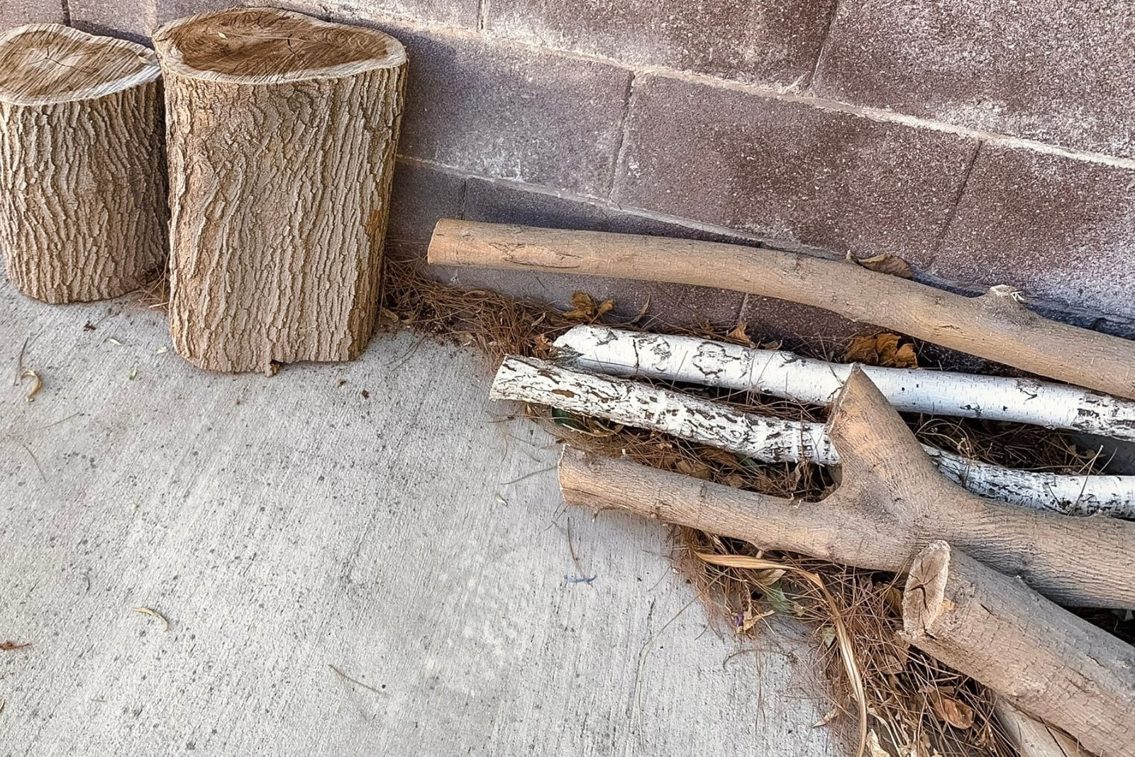 DIY Wood Slices from Recycled Tree Clippings - Amaryllis Lane